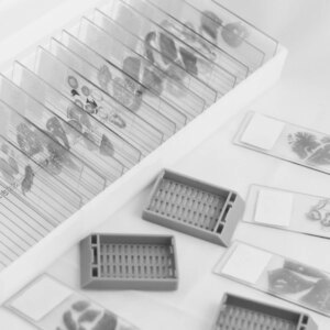 Histology Tissue Specimen Labels - Computype