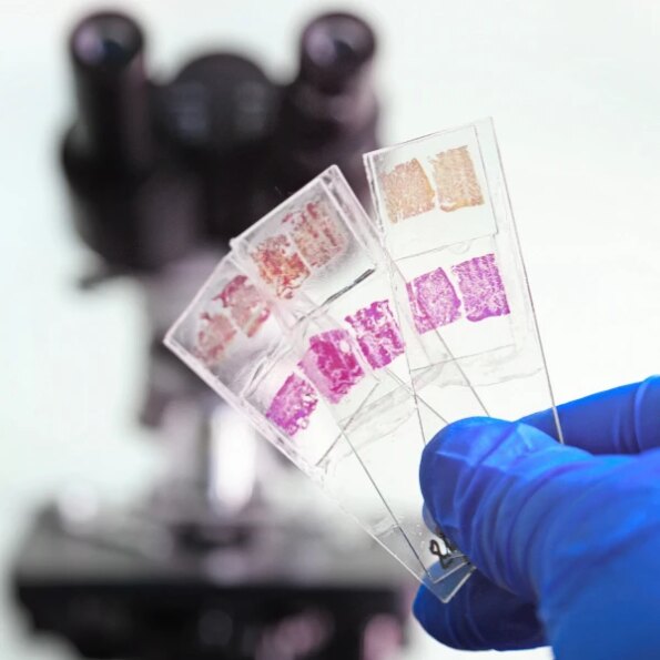 Library Barcode Labels - Buy Online