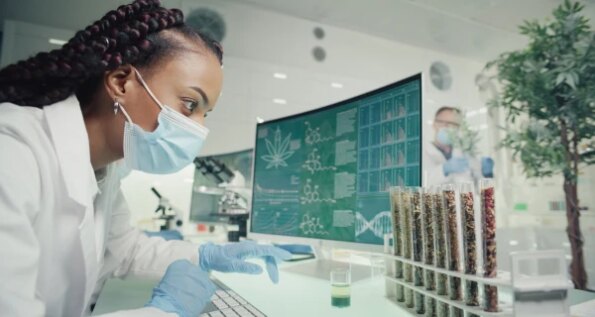 Cannabis Sample Labels - Computype