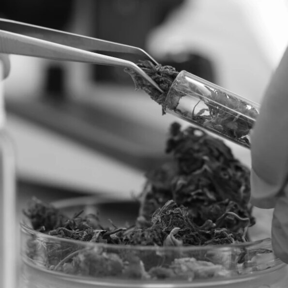 Cannabis Sample Labels - Computype