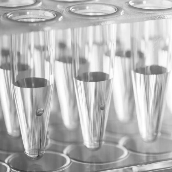 PCR Sample Labels - Computype