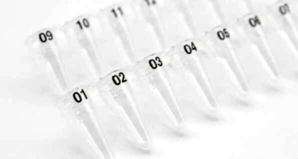 PCR Sample Labels - Computype