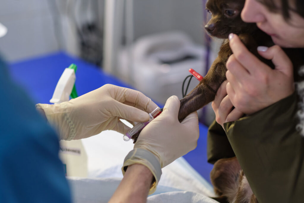 Navigating Labeling Requirements in Veterinary Reference Labs - Computype